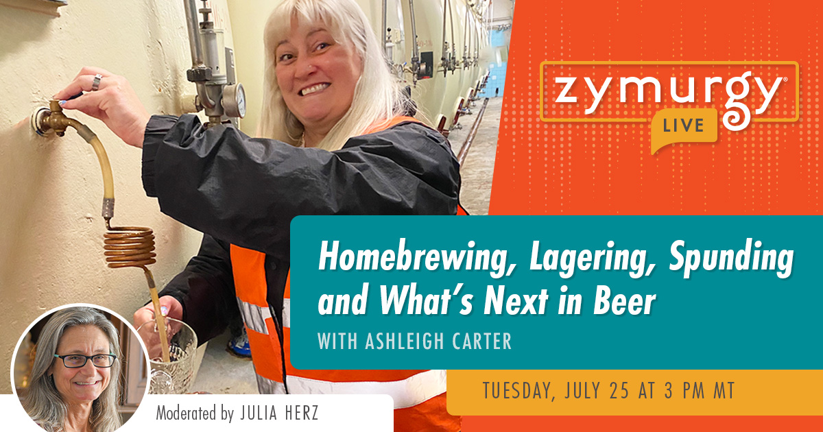 Homebrewing, Lagering, Spunding and What's Next in Beer