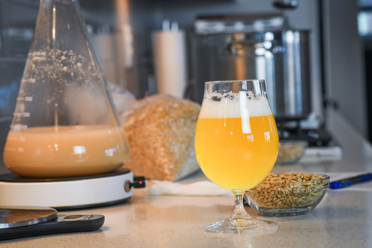 Brettanomyces: From Spoilage Organism to Rising Star! - American ...