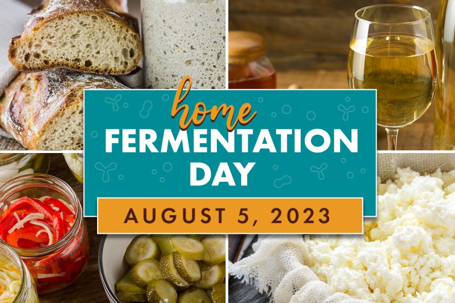The Community for Homebrewers | Homebrewers Association